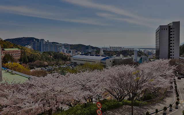 Dong-A University Office Of External International Affairs